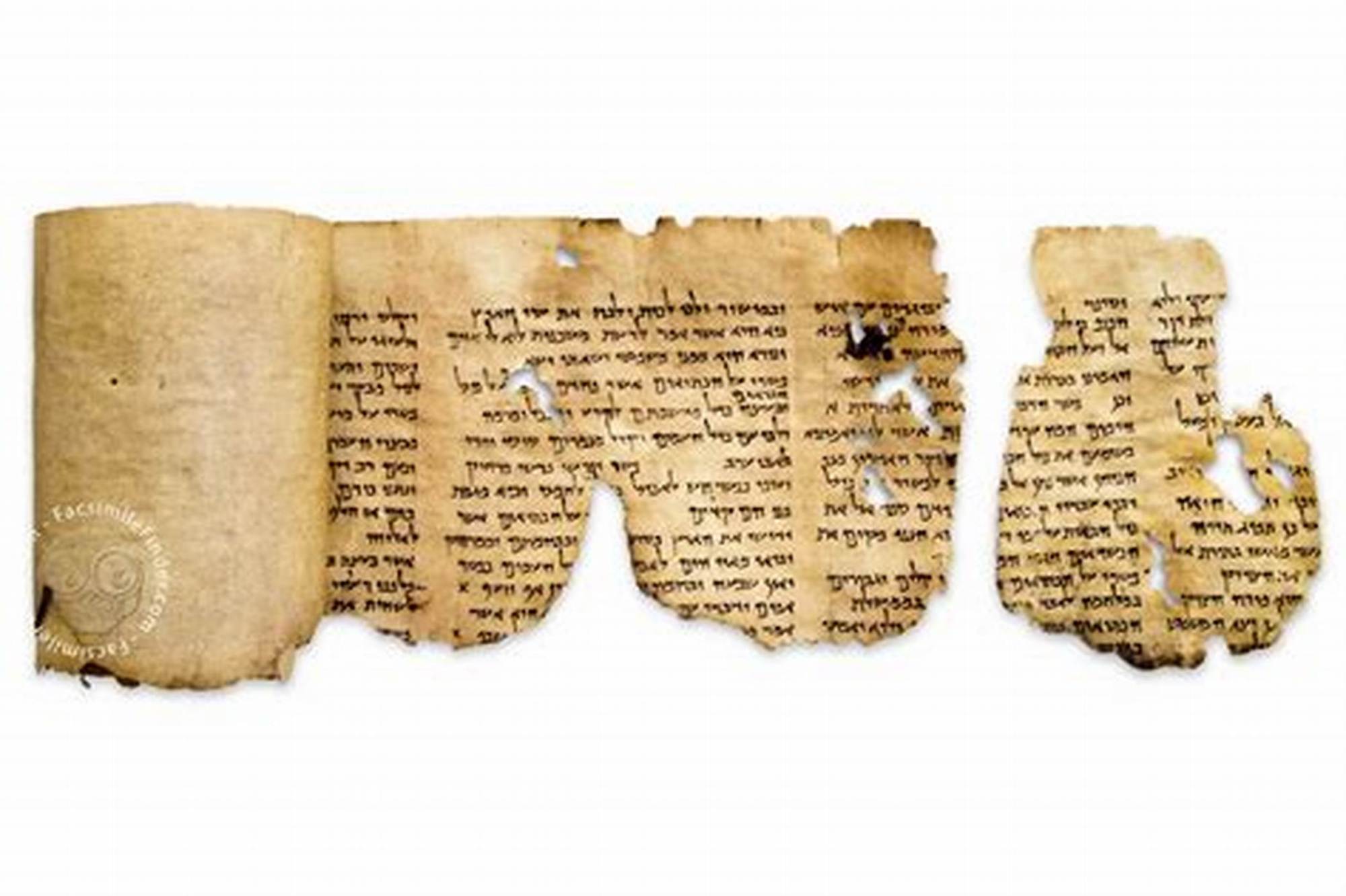 The Dead Sea Scrolls | EXPEDITION 44